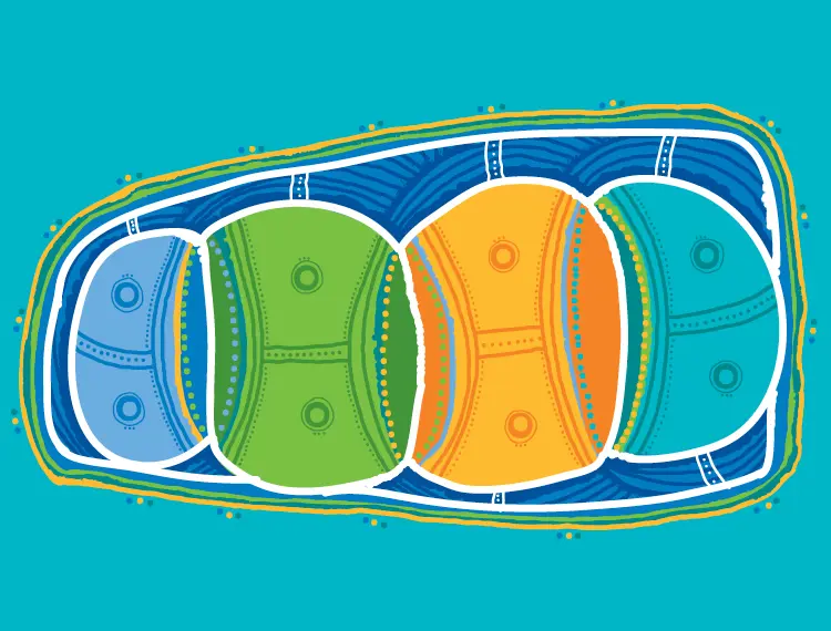 Welcome to Teeth.org.au | teeth.org.au